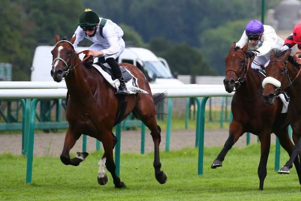Dimanche 28 Août à Deauville : La sélection de Lucas ! – HORSETURFPRO