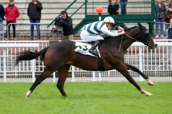 Vendredi 20 Janvier à Deauville : La sélection de Lucas ! – HORSETURFPRO