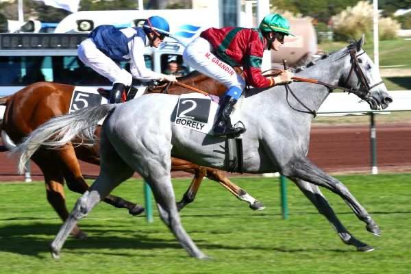 Vendredi 13 Janvier à Deauville : La sélection de Lucas ! – HORSETURFPRO