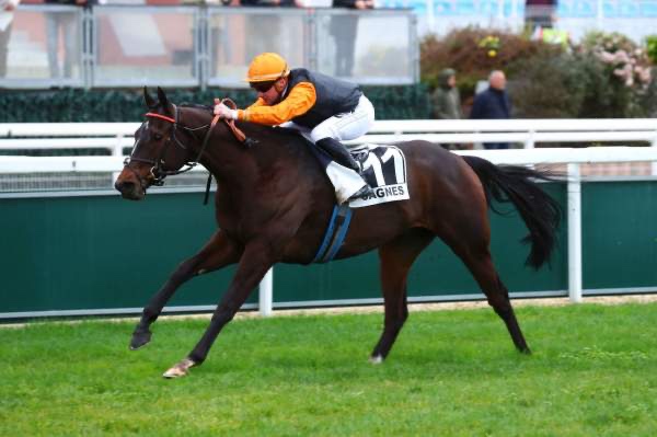 Courses à Craon : Le début des 3 Glorieuses ! – HORSETURFPRO